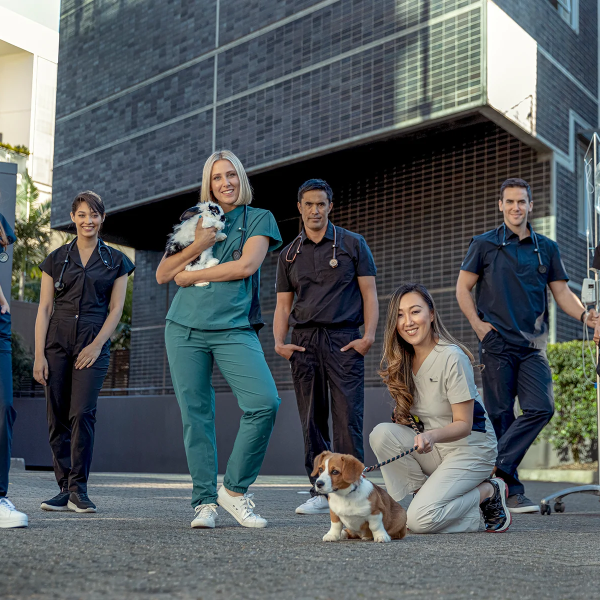 Vet Scrubs – 21 Scrubs